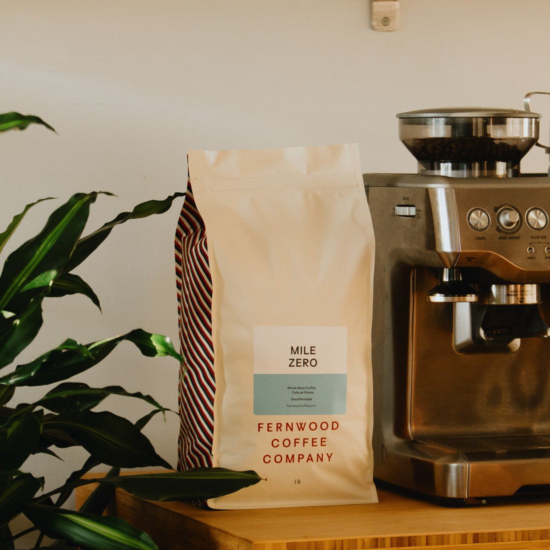 Chemical-Free Decaf Coffee: The surprising things you don't know about ...